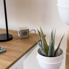 Homeoffice-Möbel und Zubehör | ASSMANN HOME